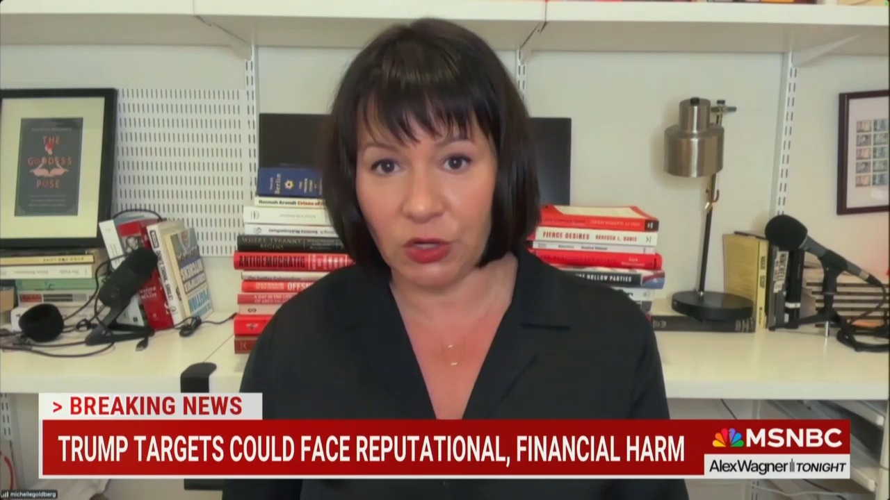 MSNBC Analyst Calls to 'Pardon All' Potential Trump Targets