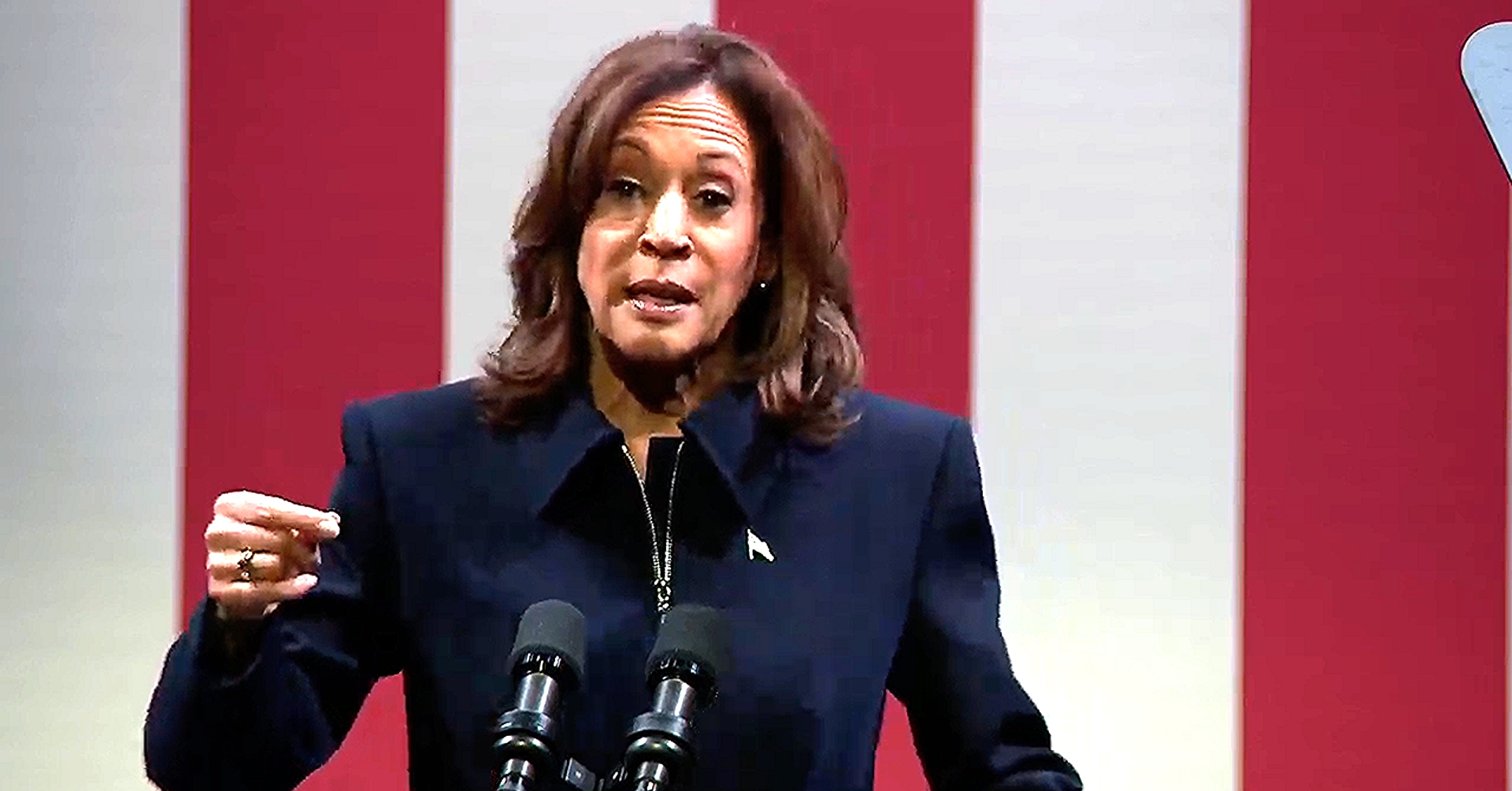 Kamala Harris Rips Gun Violence Amid WI School Shooting