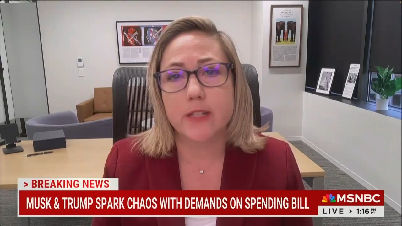 Sarah Longwell Slams Musk And Trump's 'Clown Show' In DC