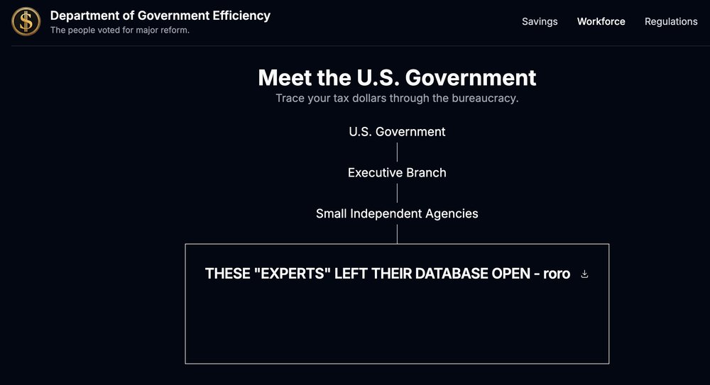 Internet Trolls Exploit Design Flaw To Deface DOGE Website