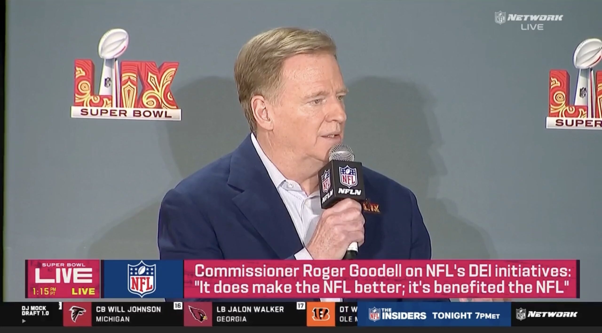 Roger Goodell Says NFL's DEI Policies Here to Stay