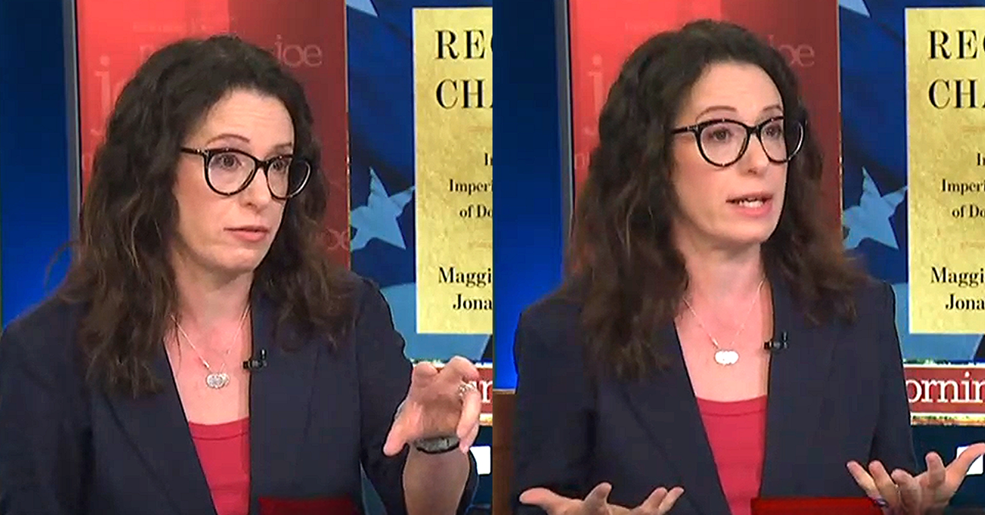 Maggie Haberman Roasts Trump Over Bombshell Hitler Reveal