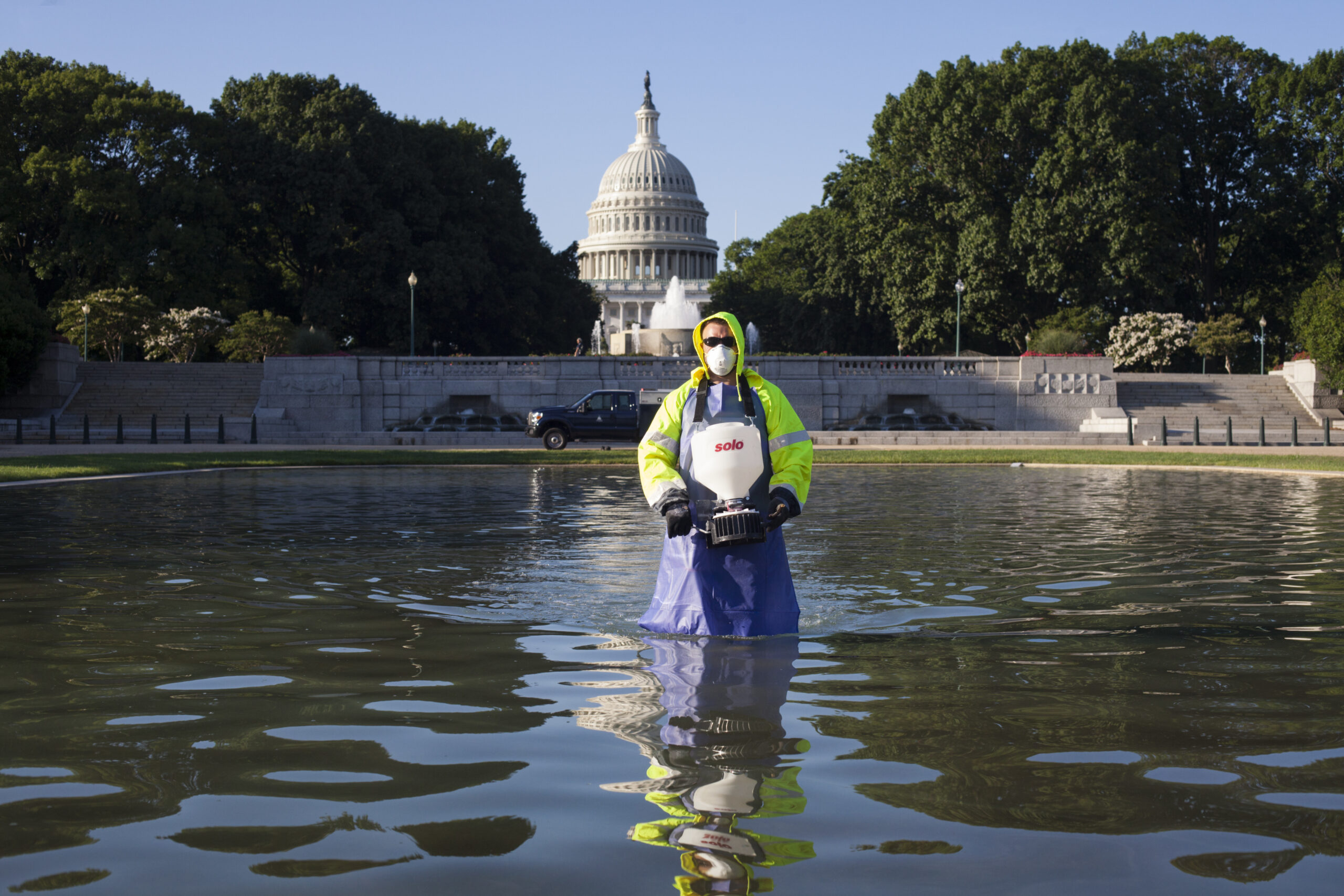 Donald Trump's $14M Project Couldn't Stop Algae Blooms